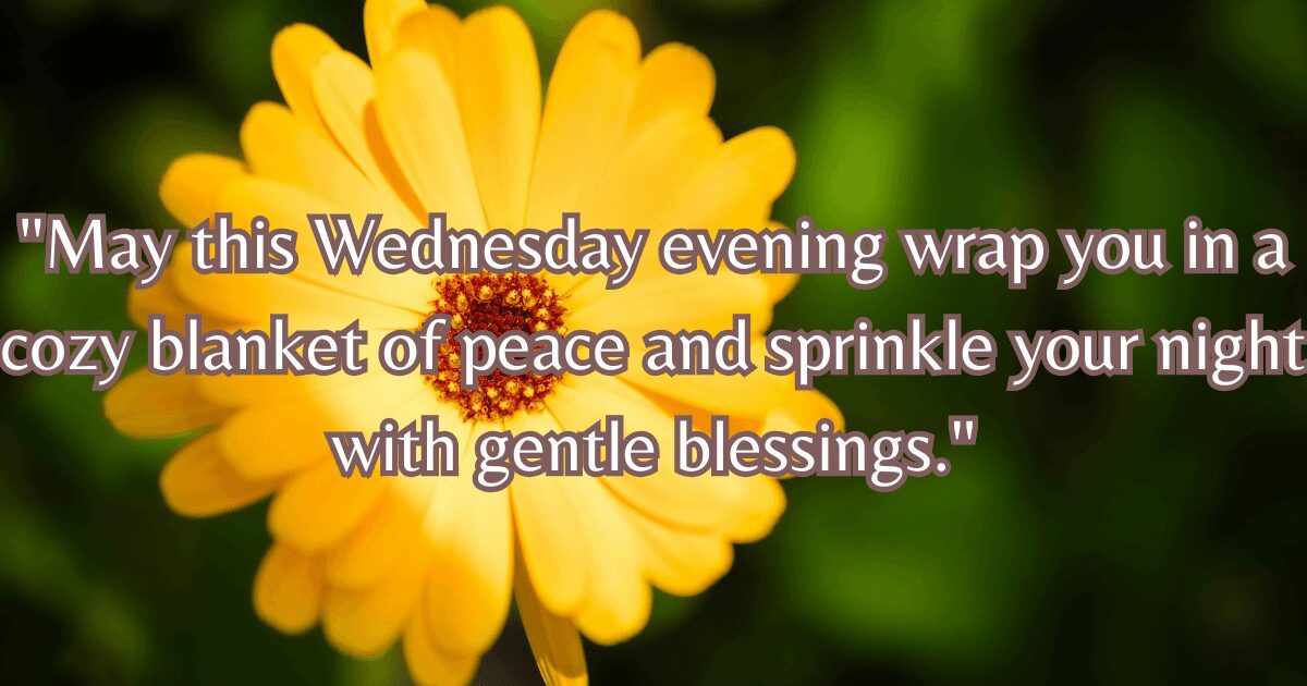 40+ Wednesday Evening Blessings Quotes Images and Prayer - Good Morning ...